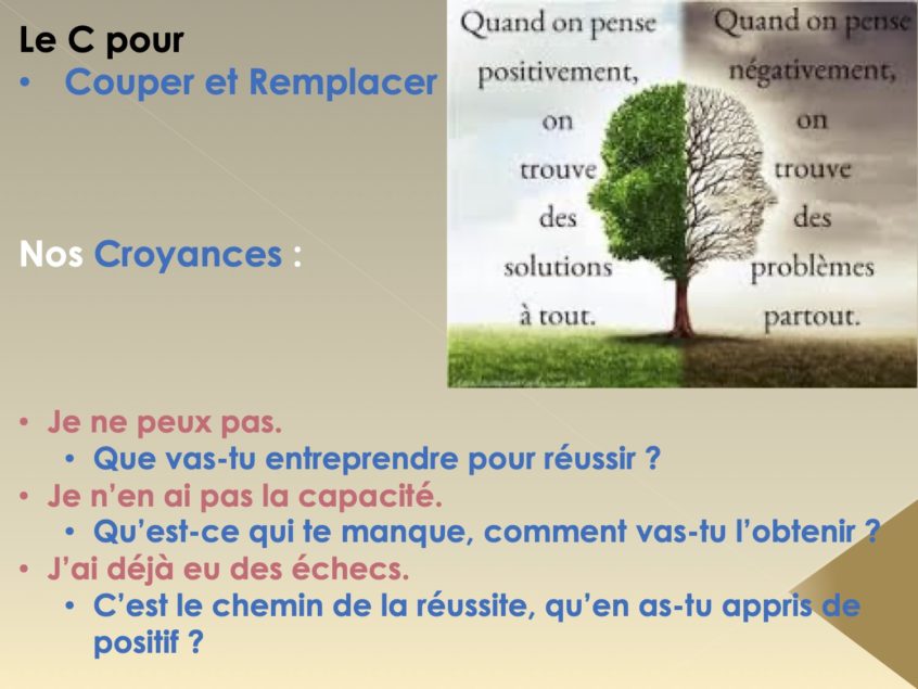 Retrouver et Maintenir le CAP | TRIODE - Médiation professionnelle en ...